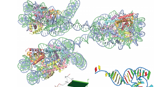 Nucleic Acids Research | Oxford Academic